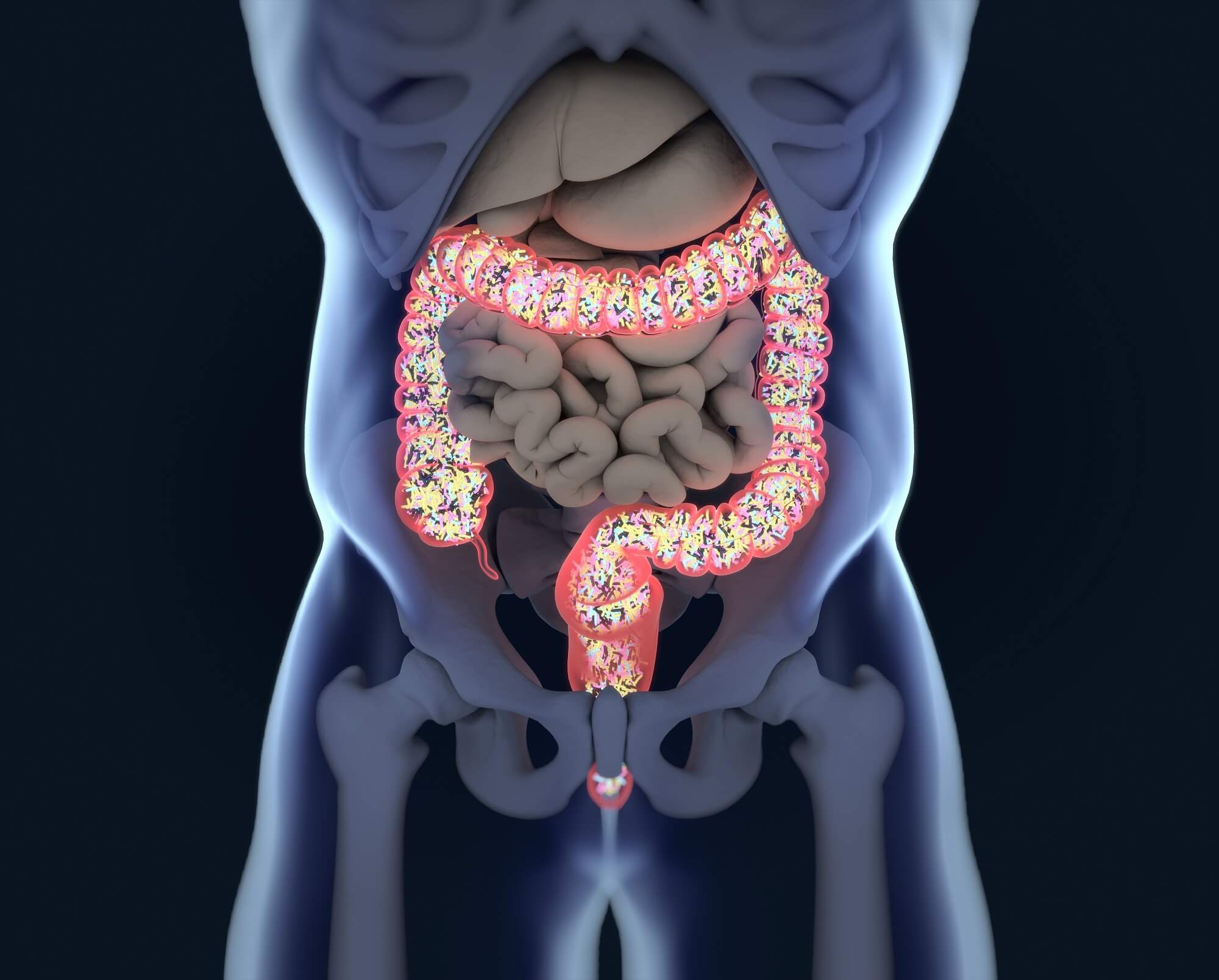 The Gut Microbiome and Its Impact on Your Health and Brain