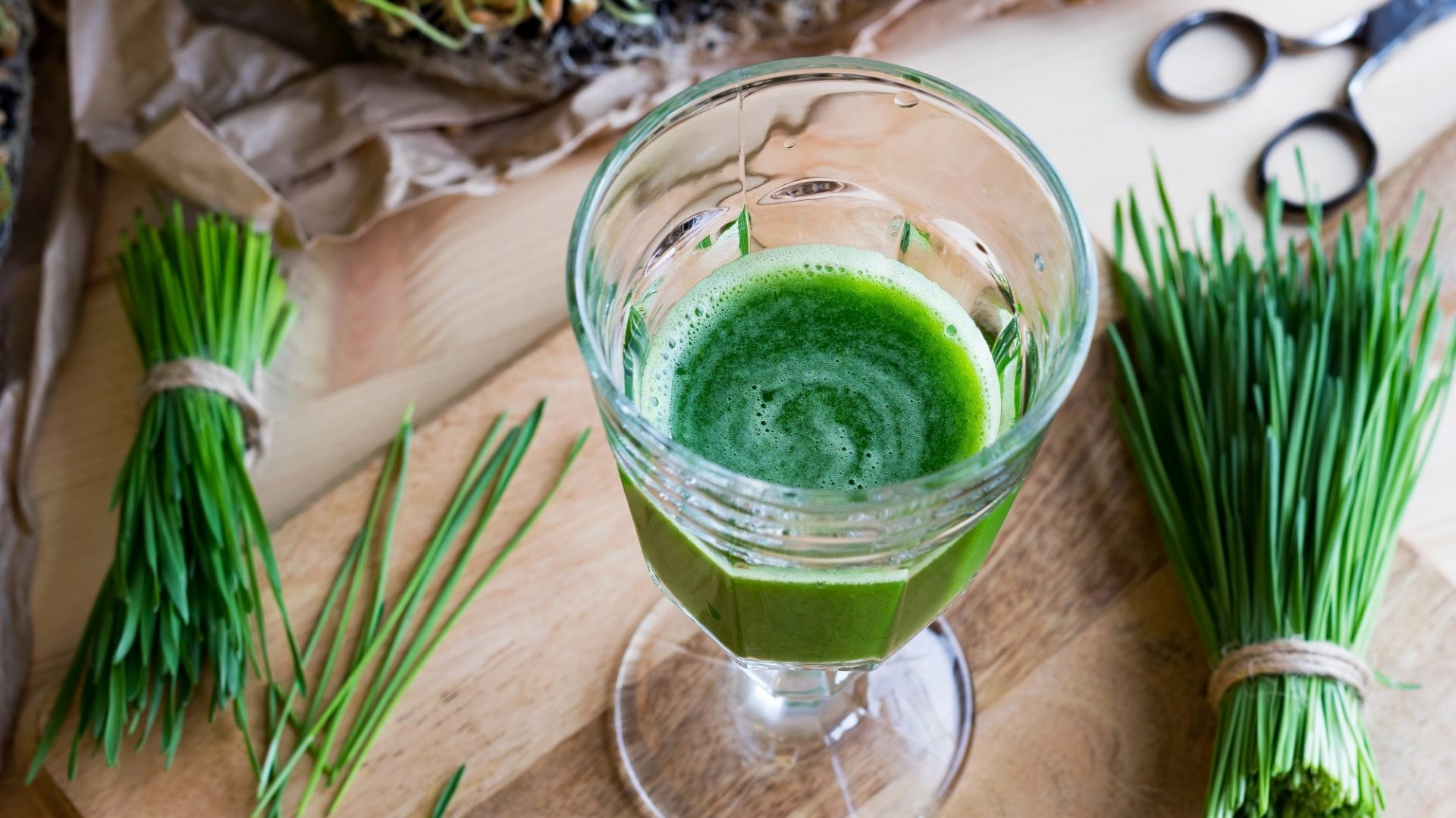 Wheatgrass Benefits for Aging Populations