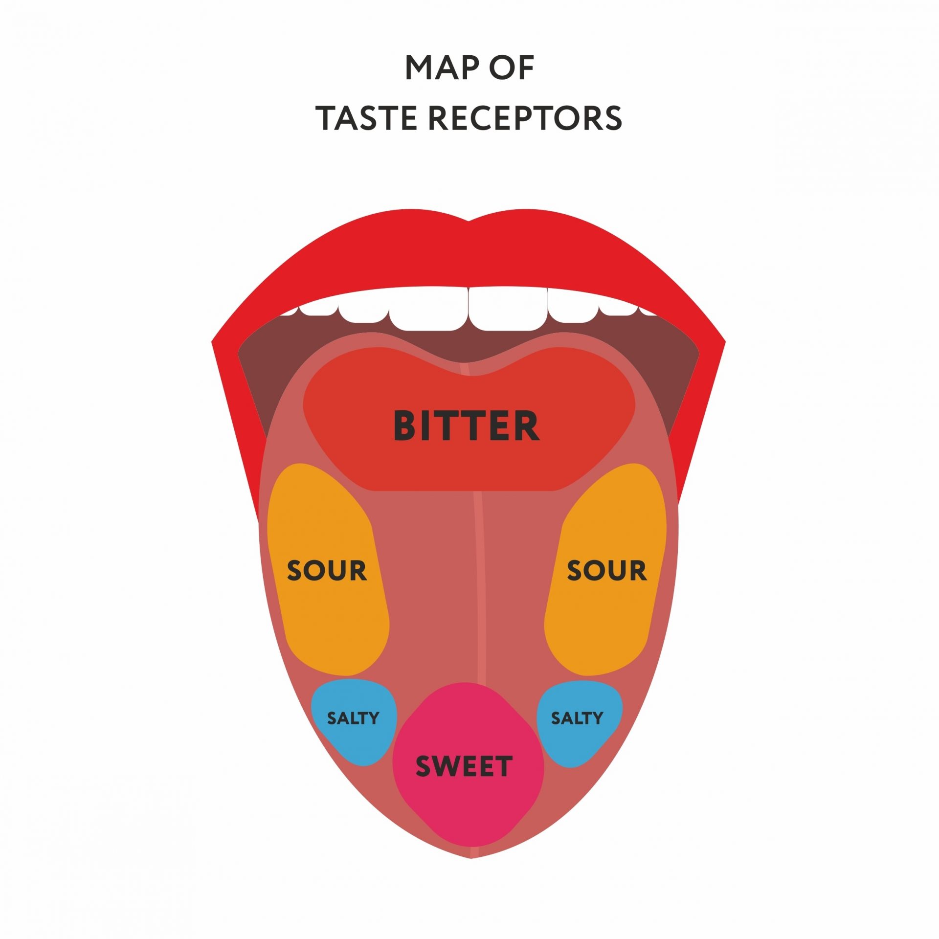 Does Aging Effect the Ability to Taste or Smell?