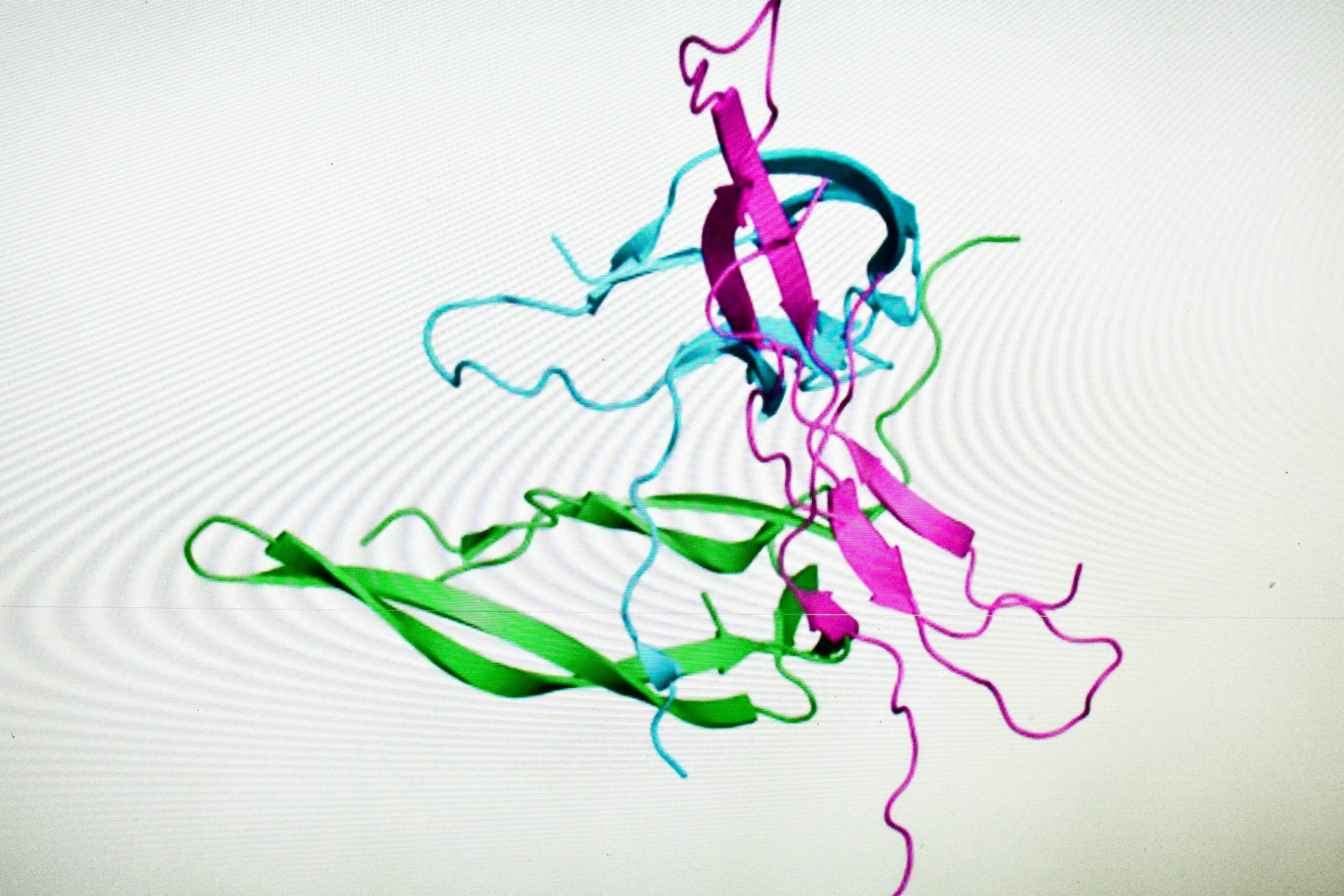 New Study Establishes Aging Milestones Courtesy of Proteome