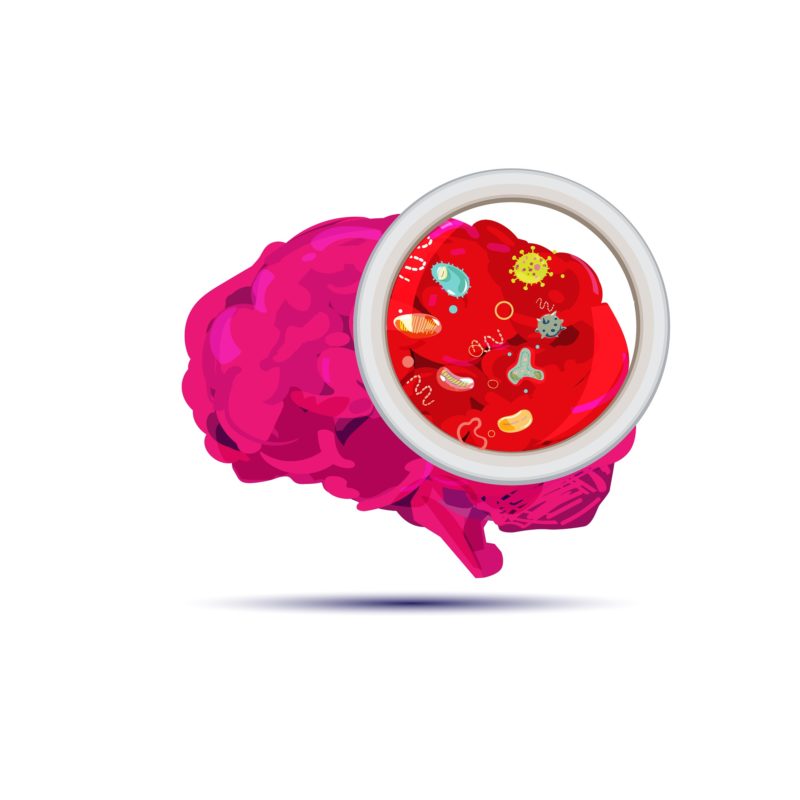 Gut Health And Mental Health Connection